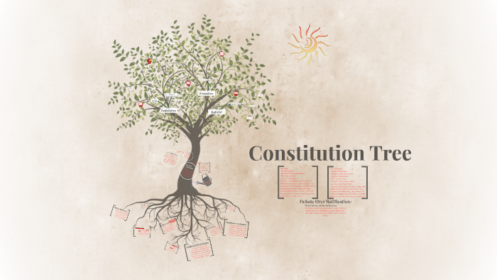 Constitution Tree by Morgan Heard on Prezi