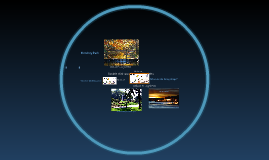 Identifying Biotic and Abiotic Factors in an Ecosystem by Trea Buck on ...