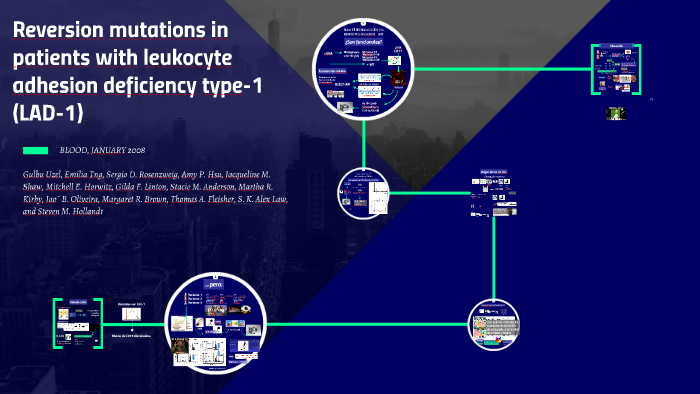 Reversion mutations in patients with leukocyte adhesion defi by Nora ...