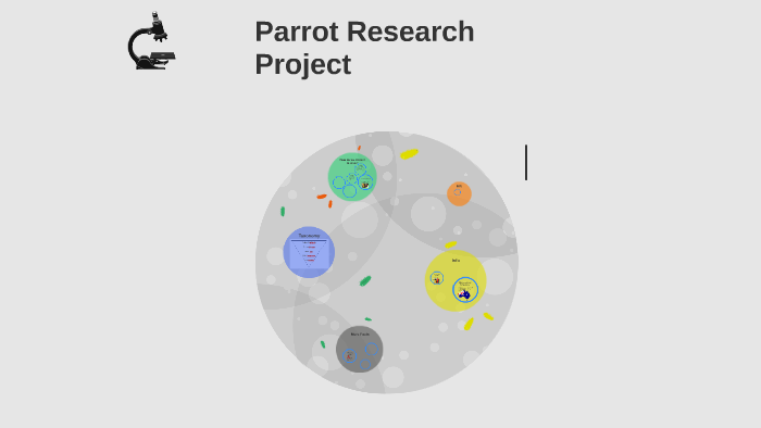 Parrot research project by brenden vanderdoes on Prezi