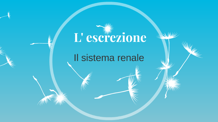 Francesca l'escrezione by classe 2E on Prezi