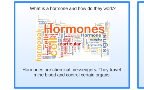 Plant Hormones by David Gabb on Prezi