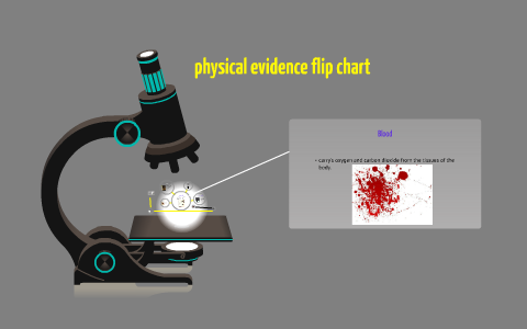 physical evidence flip chart by Zac Bradford on Prezi