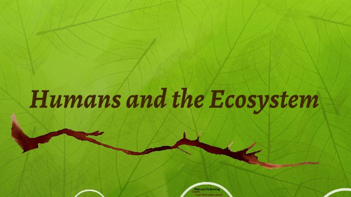 Humans and the Ecosystem by stephanie mclain on Prezi