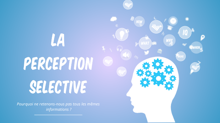 la perception sélective by Justine Herbez on Prezi