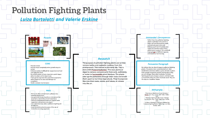 Pollution Fighting Plants by Luiza Bortolotti on Prezi