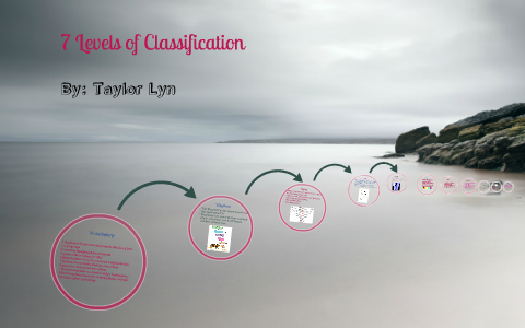 7 levels of classification by Taylor Lyn on Prezi