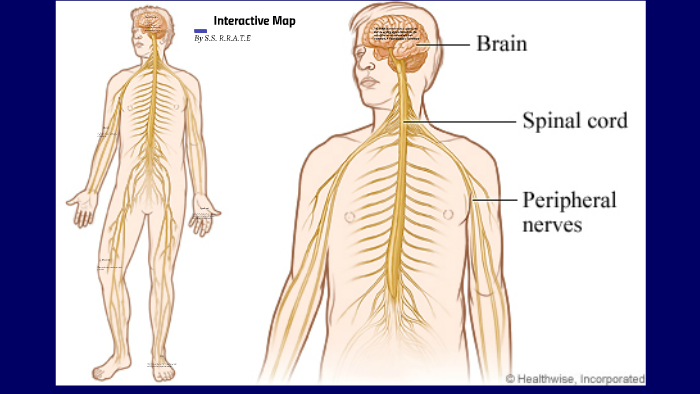 Interactive Map by stephanie rathbun on Prezi