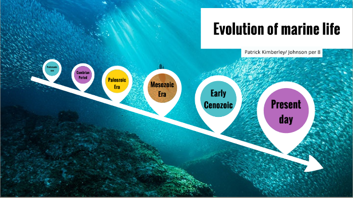 evolution of marine life by patrick kimberley on Prezi