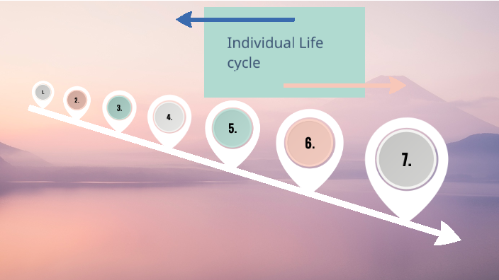 Individual life cycle by kaydence lege on Prezi