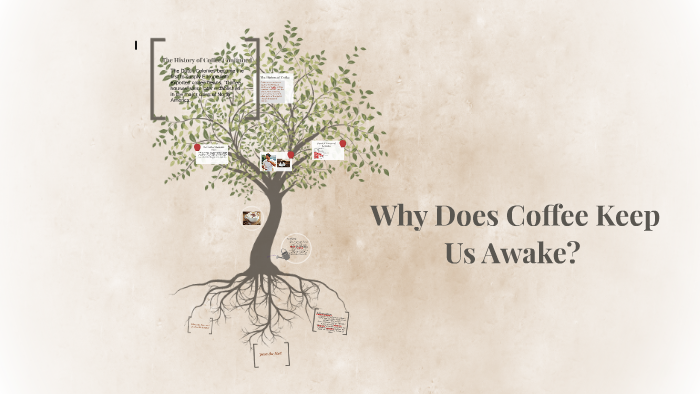 How Does Coffee Keep Us Awake by Alyssa Eaton on Prezi