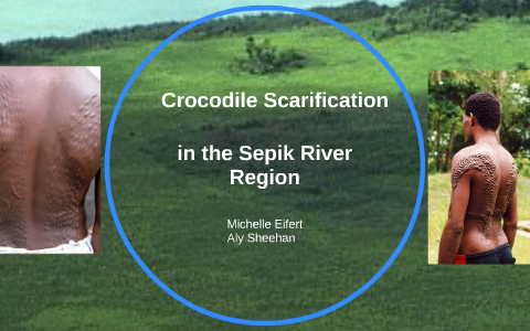 Crocodile Scarification in the Sepik River Region by Aly Sheehan on Prezi