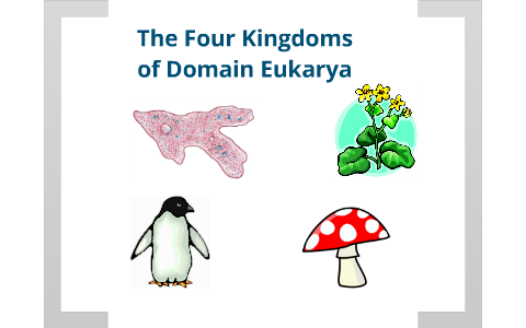 Example of Four Kingdoms Presentation by Laura Mueller
