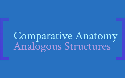 Analogous Structures by science project