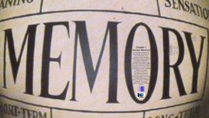 Chapter 7 Human Memory by Katie Escobedo on Prezi