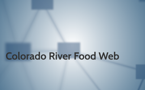 Colorado river food web by harmon bartenhagen on Prezi