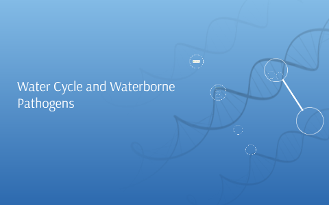 Water Cycle and Waterbourne Pathogens by help me