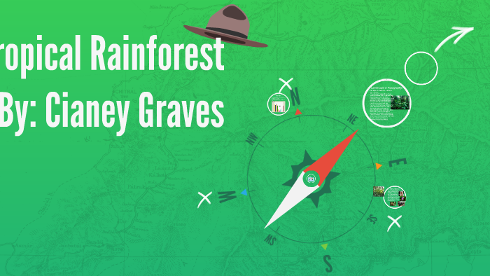 Tropical Rainforest by Cianey Graves on Prezi