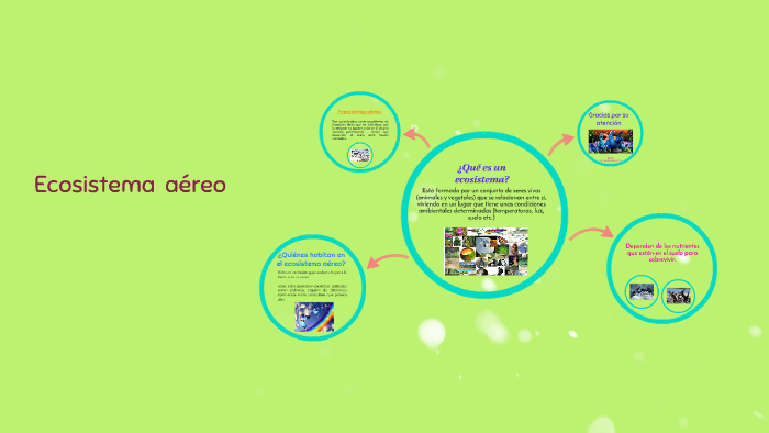 Ecosistema aéreo by María Guadalupe González Cruz on Prezi