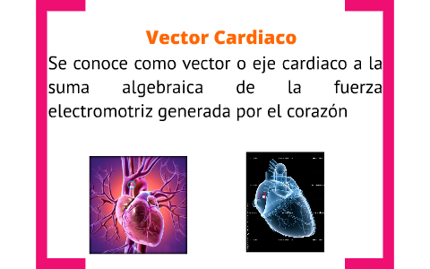 Vector Cardiaco by Katy Derichs on Prezi