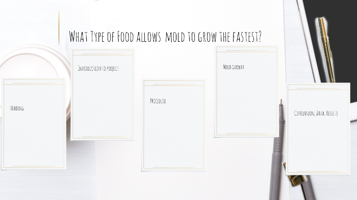 What type of food allows mold to grow the fastest? by Olivia Chartier ...