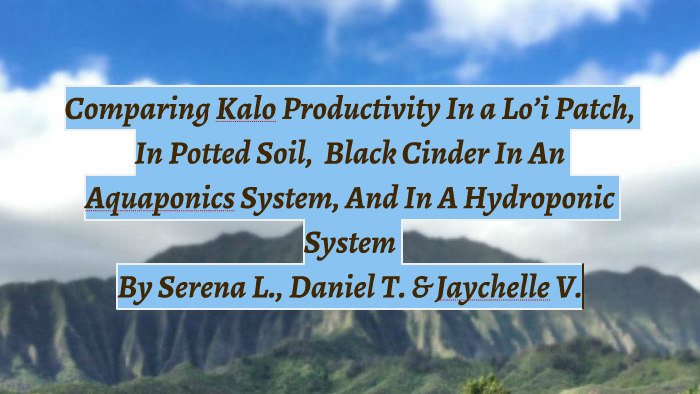 Comparing Kalo Productivity In a Lo’i Patch, In Potted Soil, by ...