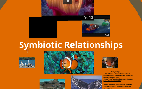 Symbiotic Relationships by Samantha Shuffler on Prezi