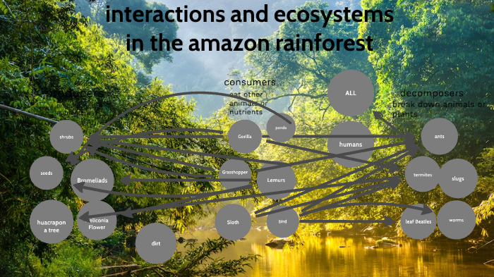 625431 ecosystem by Diesel Brook on Prezi