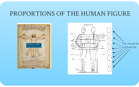 Assignment: Proportions of the Human Figure by Michael Wiechmann on Prezi