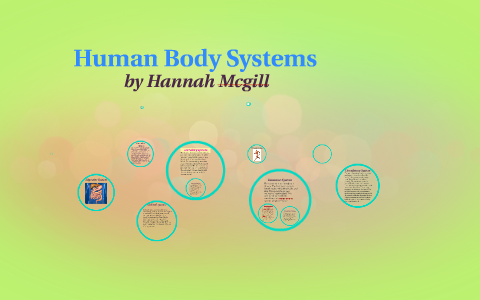 Human Body Systems by hannah mcgill on Prezi