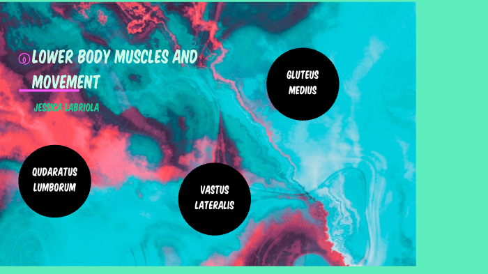 Lower Body Muscles and Movement by Jessica Labriola on Prezi