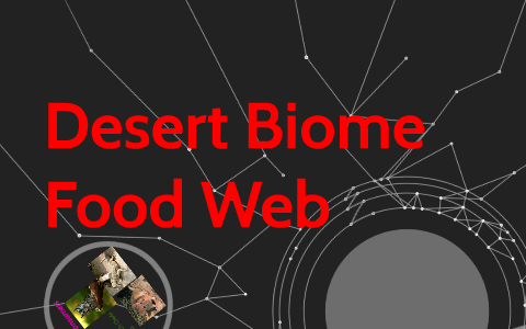 Desert Biome Food Web by Jackson Lindemuth on Prezi