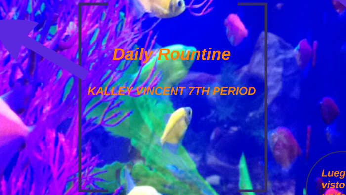 Daily Rountine by kalley vincent on Prezi