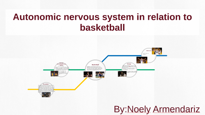 Autonomic nervous system with basketball by noely armendariz on Prezi