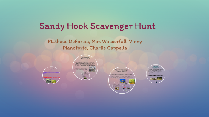 Sandy Hook Scavenger Hunt by matheus defarias on Prezi