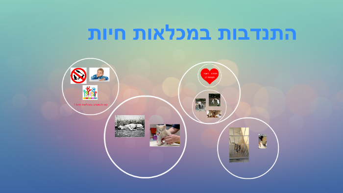 מצגת מעין by eden taklya on Prezi