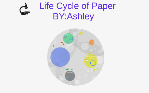 Life Cycle of Paper by ashley norris on Prezi
