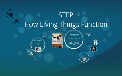 How Living Things Function by Bob Mills on Prezi