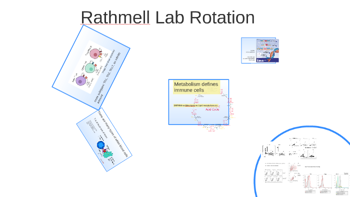 Rathmell Lab Rotation by Raymond Zhang on Prezi