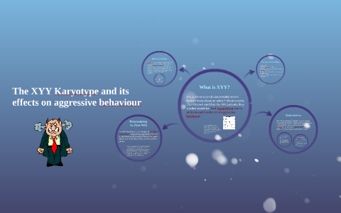The XYY Karyotype and its effects on aggressive behaviour by Ceri ...