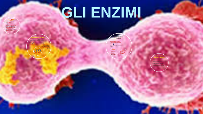 GLI ENZIMI by francesca finazzi on Prezi