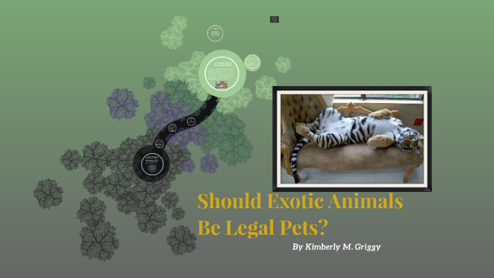 Should Exotic Animals Be Legal Pets? by Kimberly Griggy on Prezi
