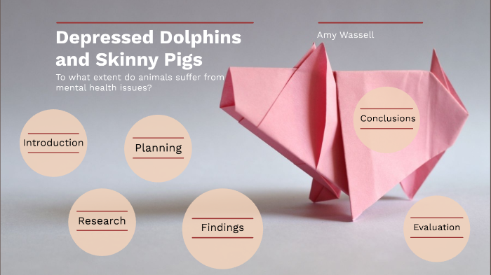 Depressed Dolphins and Skinny Pigs by Amy Wassell on Prezi