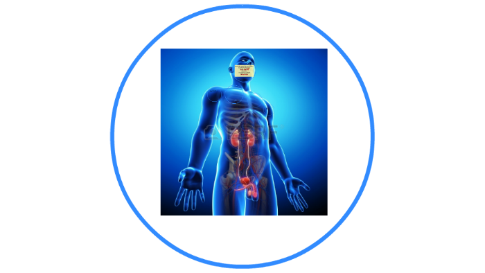 INSTITUTO SUPERIOR CORDILLERA EXAMEN DE TORCH JAIRO CHÁVEZ by Jairo ...