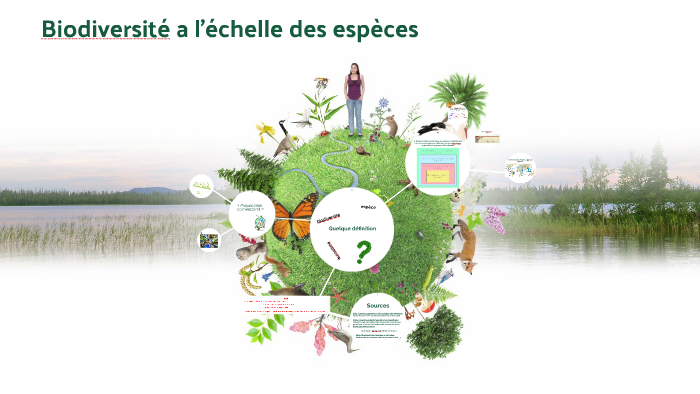 Représentation sous forme de groupes emboîtés des caractères by Alécia ...