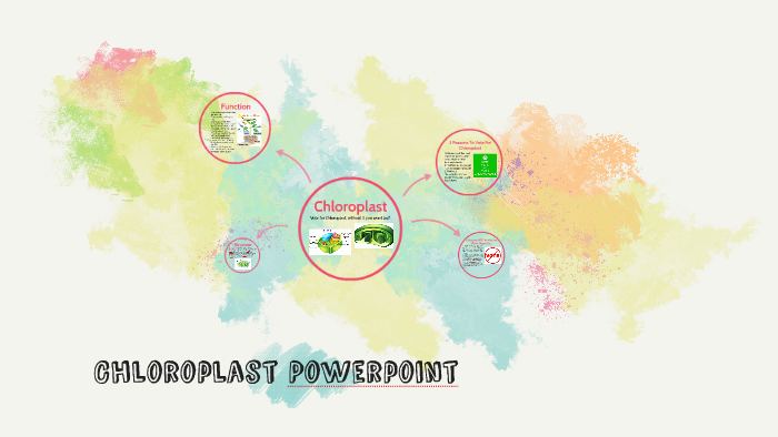 Chloroplast Powerpoint by Lindsey Portales on Prezi