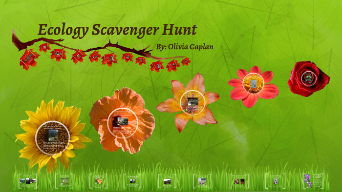 Ecology Scavenger Hunt by olivia caplan on Prezi