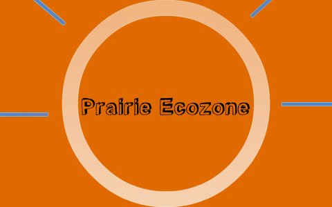 Prairie Ecozone by Trevor Wintjes on Prezi