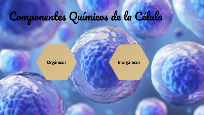 componentes químicos célula by aracely davalos on Prezi