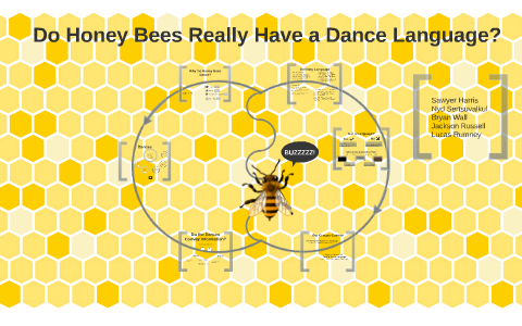 The Honey Bee Dance Language by Sawyer Harris on Prezi